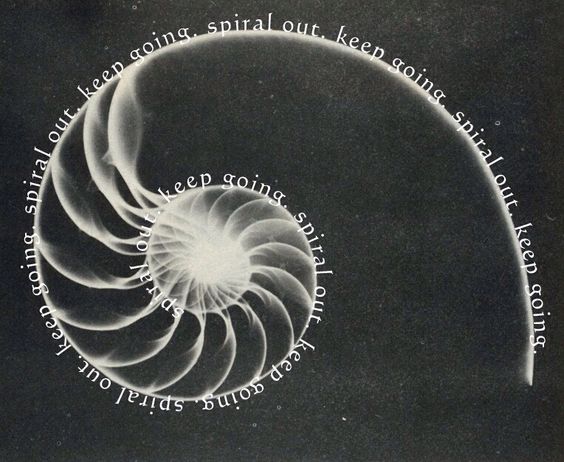 Tool: “Lateralus” e la sequenza di Fibonacci | Radio Città Aperta